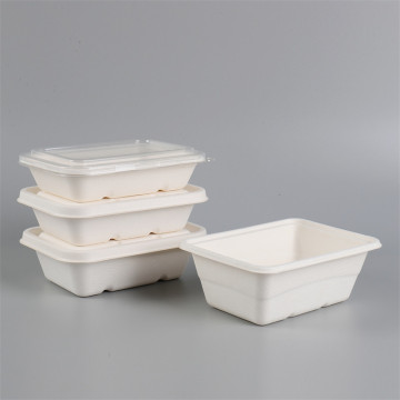 Biodegradable Disposable bagasse Square Paper Trays With Lid takeaway