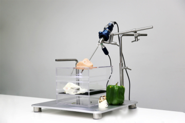 Neuroendoscope Training System