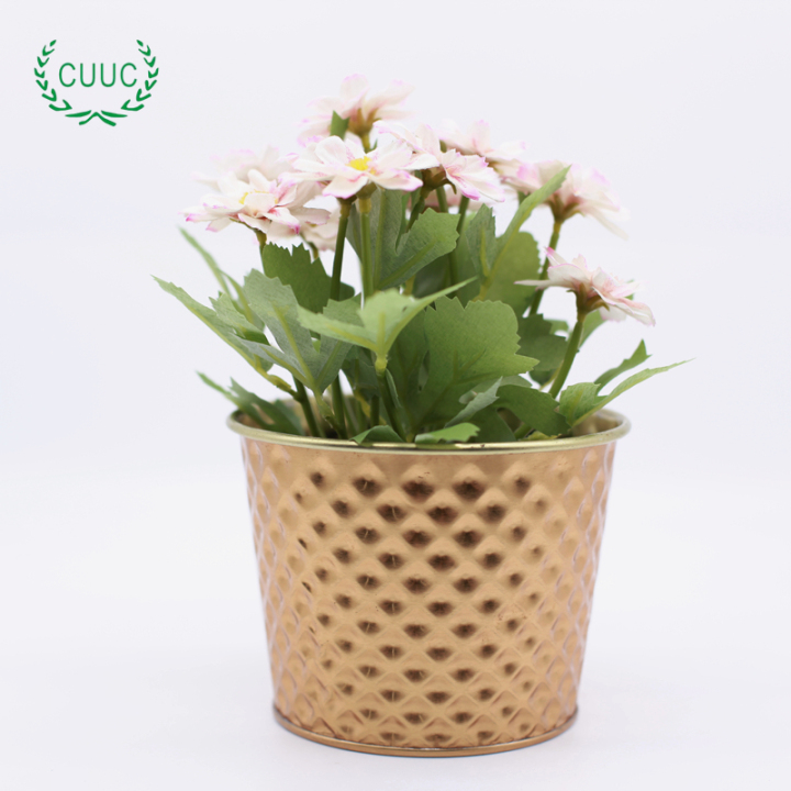Golden Metal Flowerpot | Plant Pot