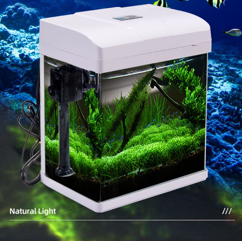 Amphibious Pet Breeding Tank Ultra Clear Glass Aquarium