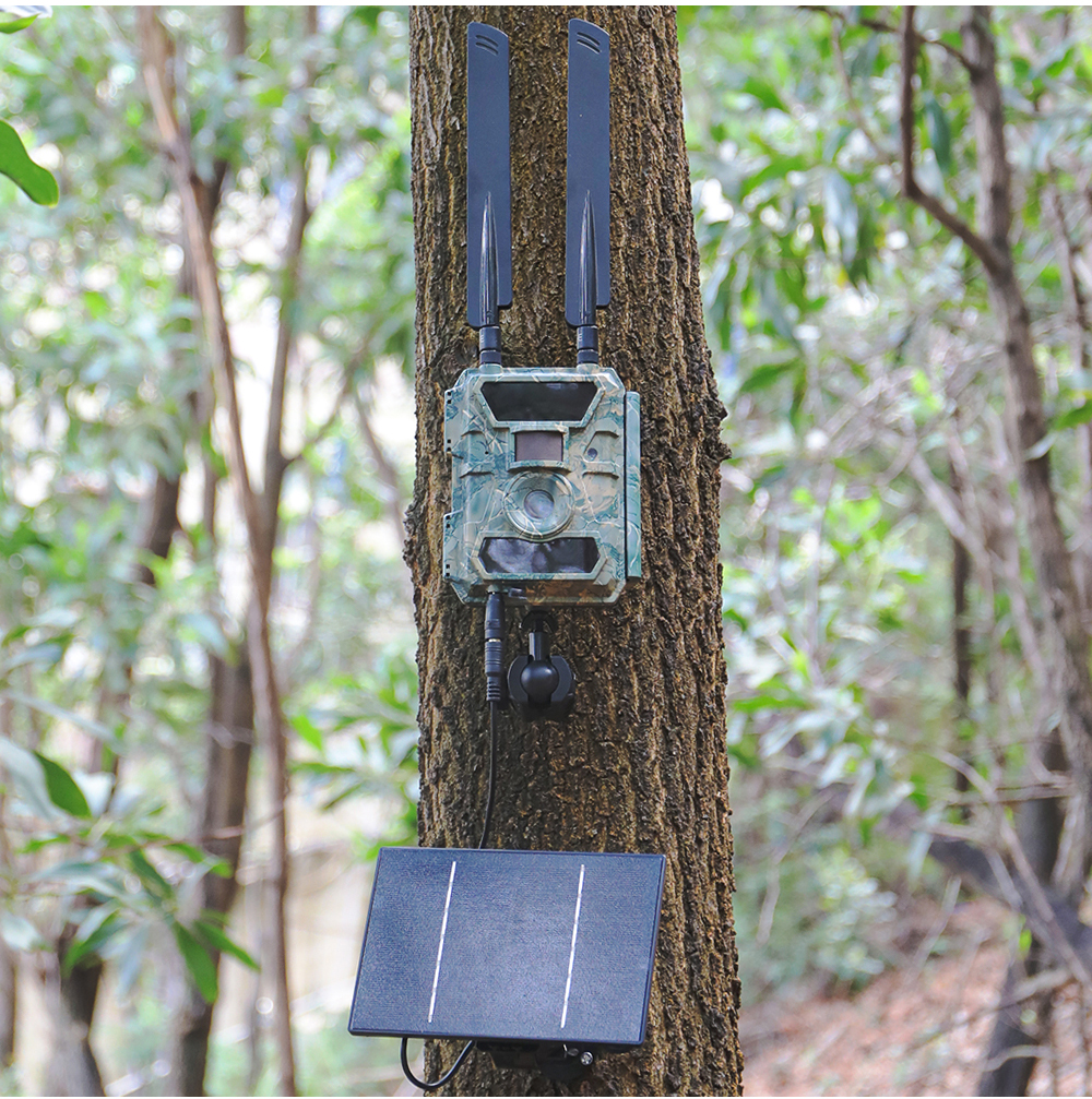 D4R Solar Panel For Wifi Camera Built In Battery 18650 4W 5V 6V DC5521 ...